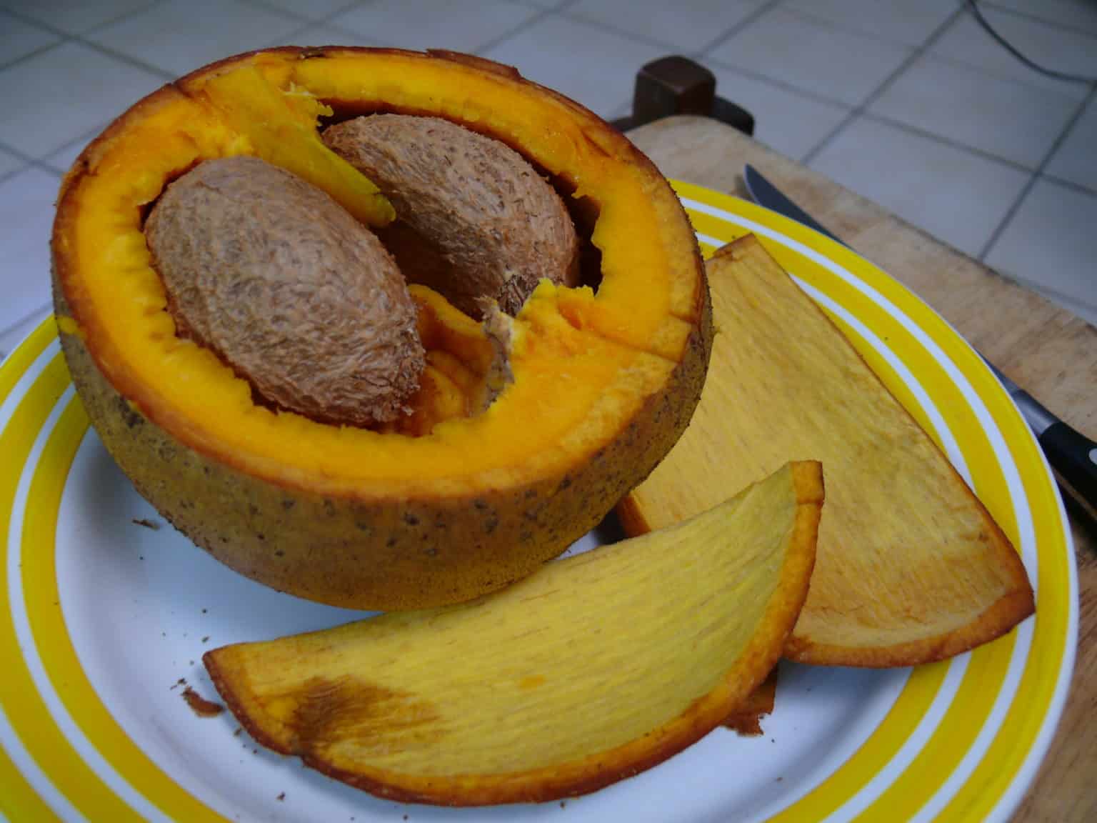 Vivero Frutas del Mundo Izabal - Exotic Fruit Nursery – Guate Adventure