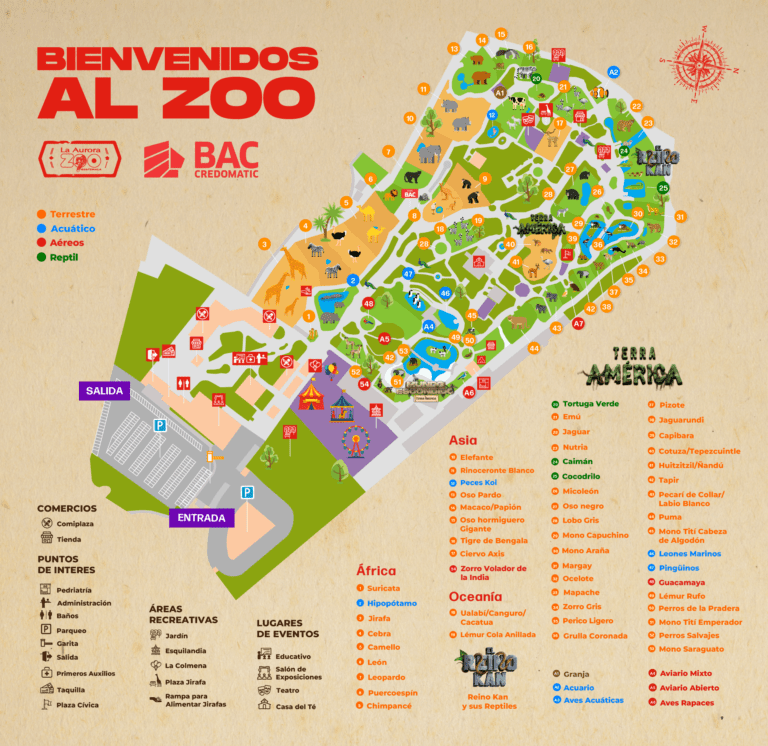 ¡El Fabuloso Zoológico la Aurora! *Guía Completa* – Guate Adventure
