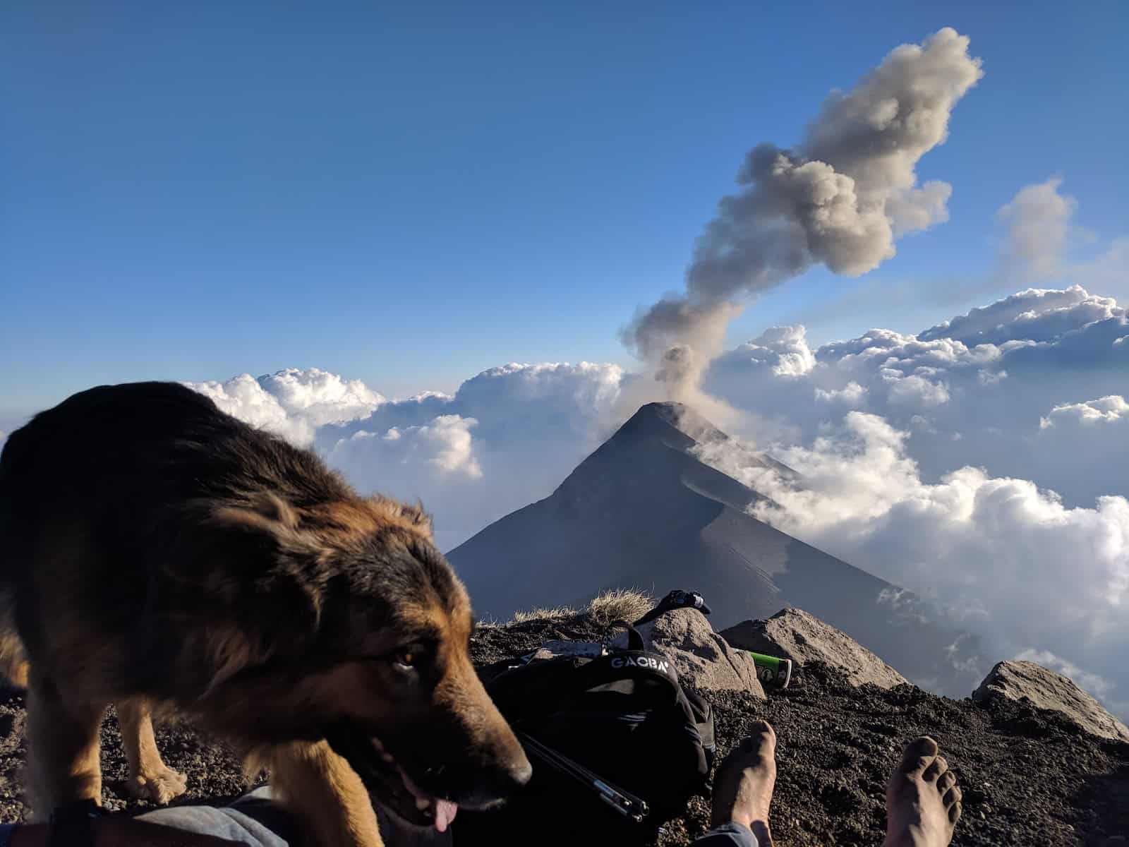 Volcano Hiking with a Dog – Guate Adventure